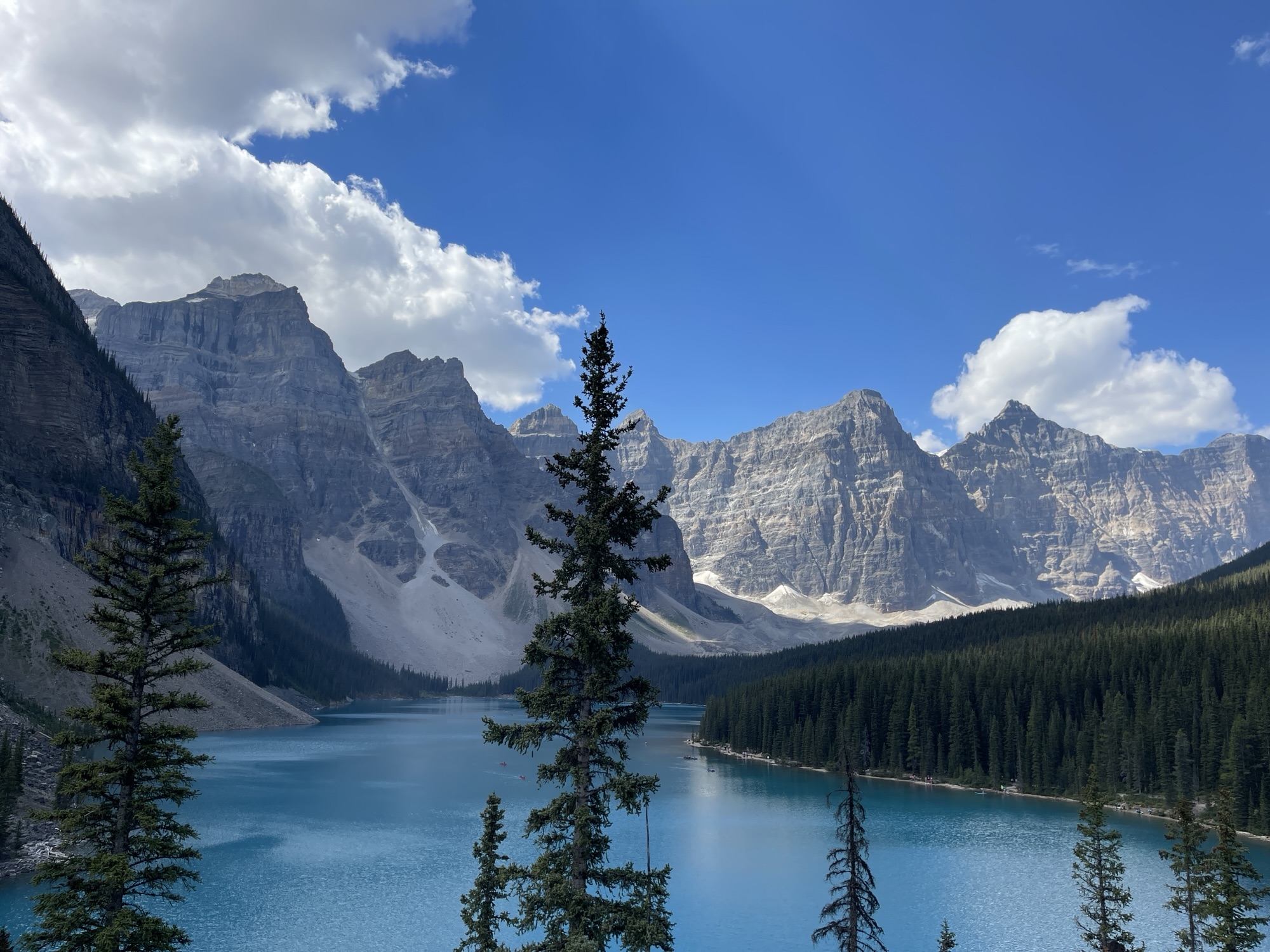 A single day – Tenacious Cadence